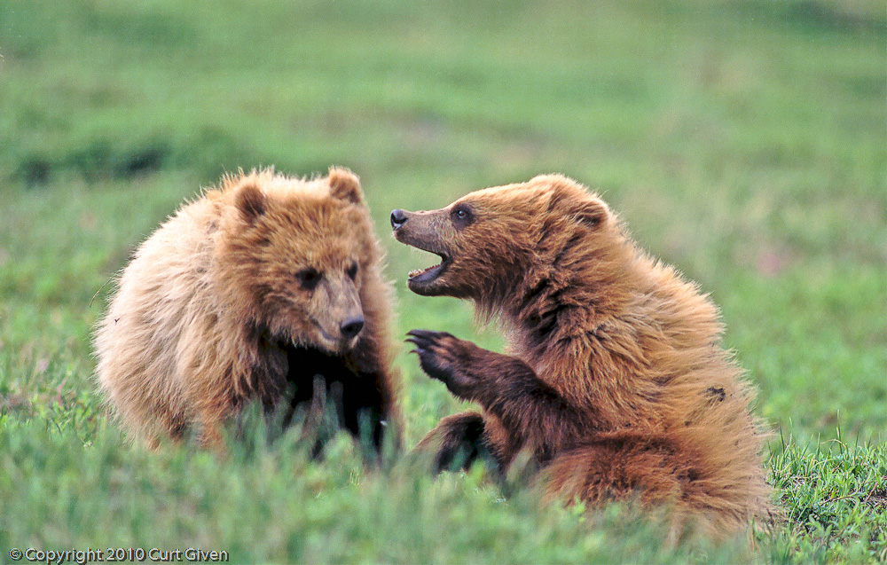 100 Ways to Make Friends (in real life) | Alison Goldie Coaching